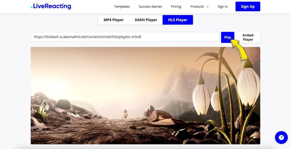 Host and Embed an HLS Live Stream: An Easy 2025 Guide