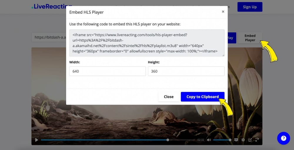 Host and Embed an HLS Live Stream: An Easy 2025 Guide