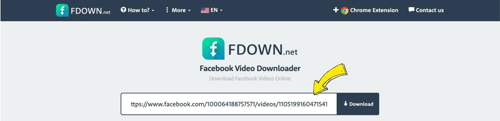 How to Download Facebook Live Video 2024 [Quick Tutorial]