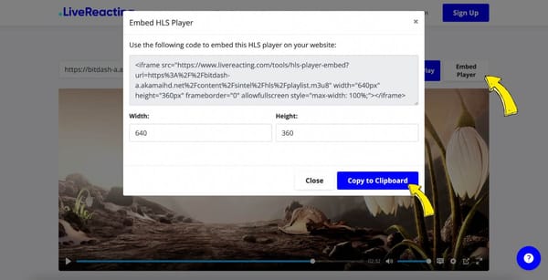 Host and Embed an HLS Live Stream: An Easy 2025 Guide
